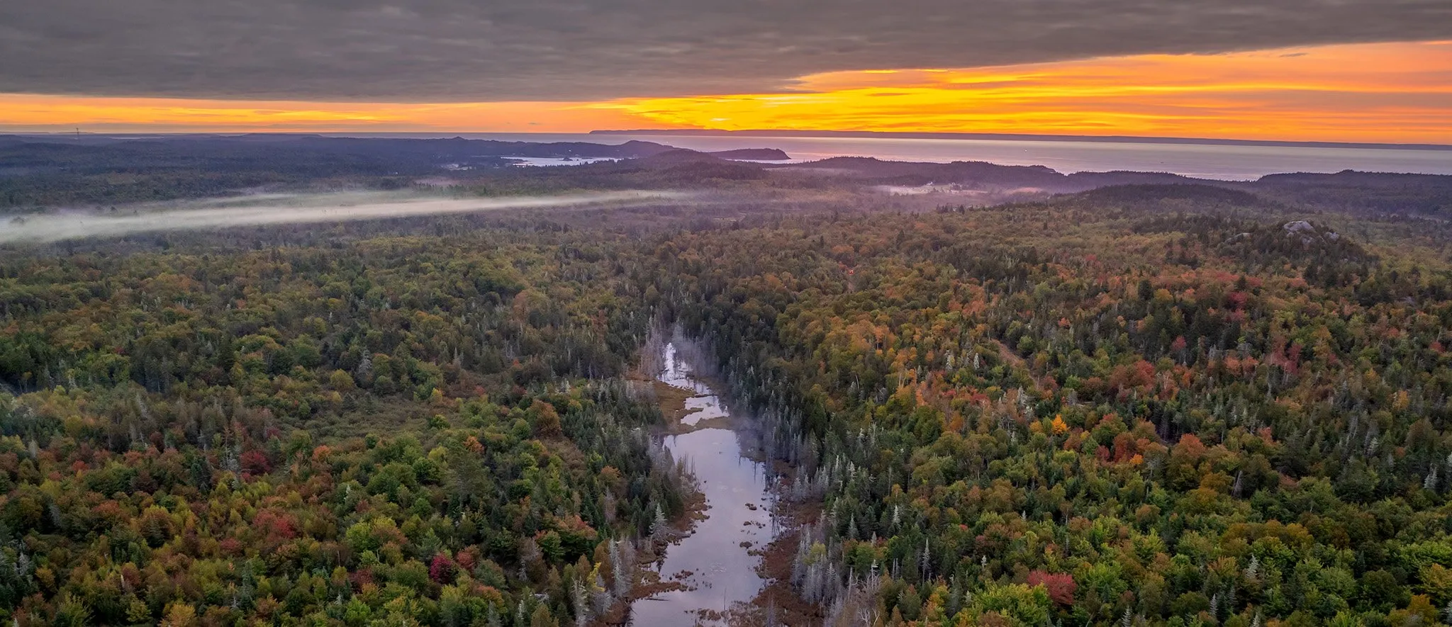 Deepening Our Connections to Nature and One Another - Maine Coast ...