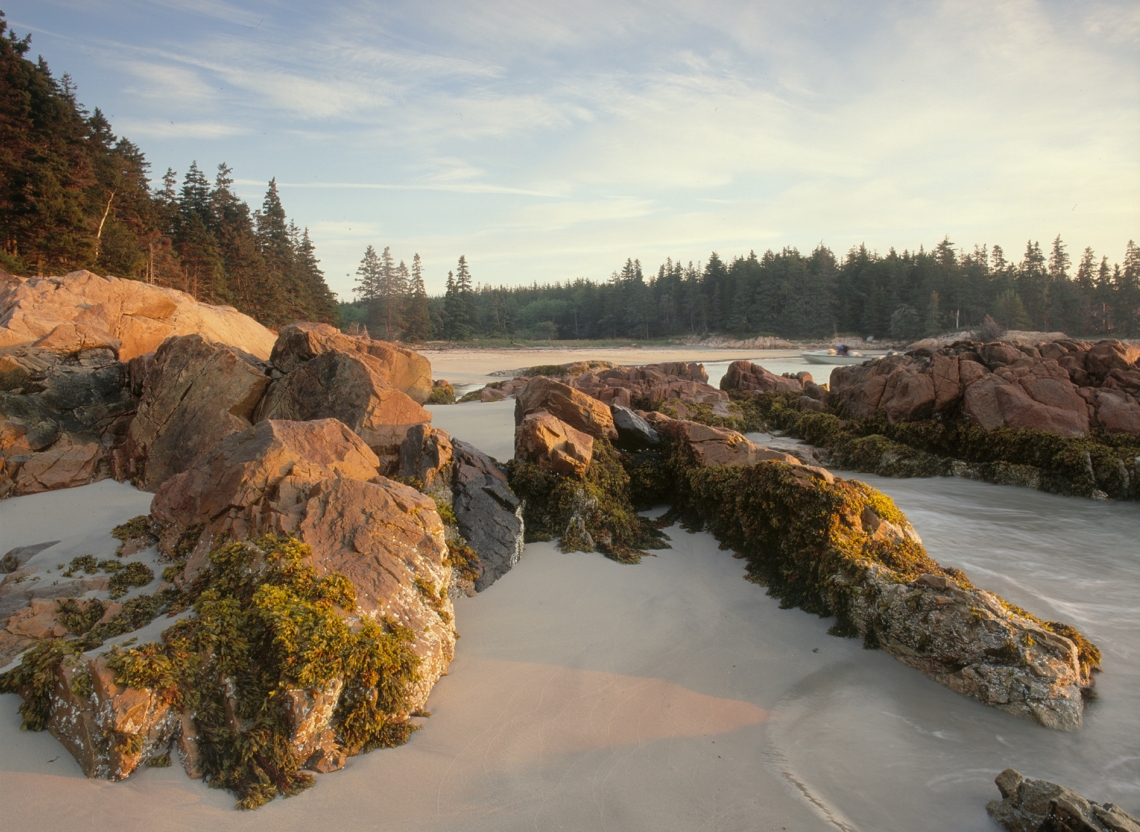 Maine Coast Conservation & Strategic Projects | MCHT